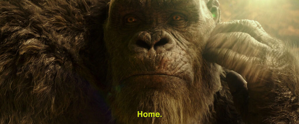 What Are We Saying When We Show Apes Signing in Movies? - Sign on Screen